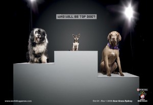 40 Creative and Funny Advertisements Using Animals