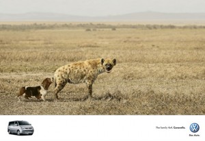 40 Creative and Funny Advertisements Using Animals