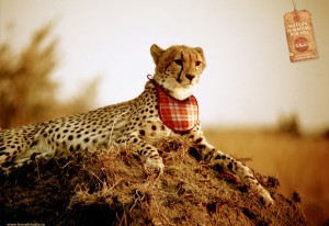 40 Creative and Funny Advertisements Using Animals