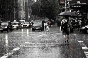 80 Rain Photography taken by Talented Photographers