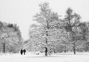 80 Examples of Snow Photography To Frost Your Screen