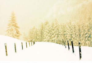 80 Examples of Snow Photography To Frost Your Screen