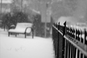 80 Examples of Snow Photography To Frost Your Screen