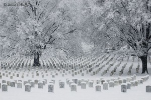 80 Examples of Snow Photography To Frost Your Screen