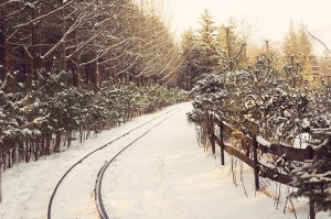 80 Examples of Snow Photography To Frost Your Screen