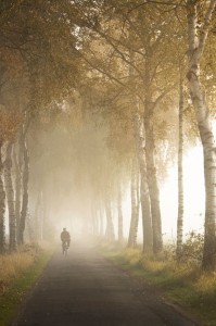 47 Stunning and Creative Examples of Silhouette Photography