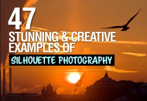 47 Stunning and Creative Examples of Silhouette Photography