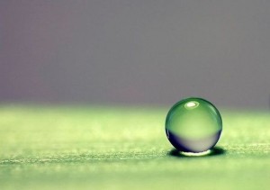 30+ Examples of Shallow Depth of Field Photography