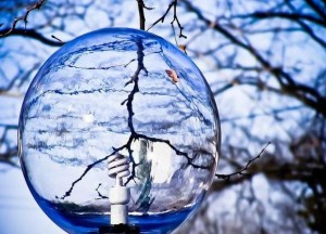 30+ Examples of Shallow Depth of Field Photography