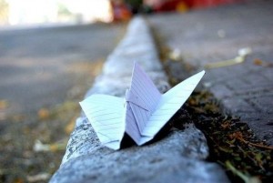 30+ Examples of Shallow Depth of Field Photography