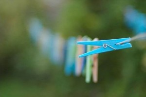 30+ Examples of Shallow Depth of Field Photography