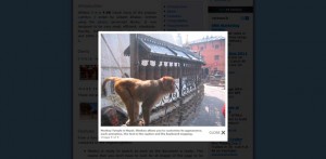 15 Stunning jQuery Lightbox Plug-ins for Your Upcoming Designs