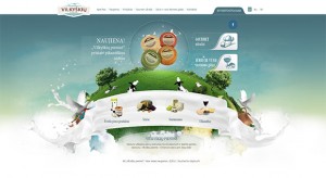 30 Examples of Effective Organic Website Design