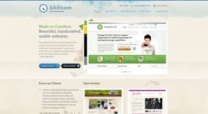 30 Examples of Effective Organic Website Design