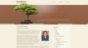 30 Examples of Effective Organic Website Design