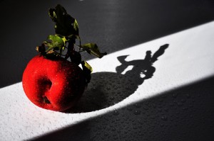 36 Outstanding Examples of Still Life Photography