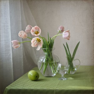 36 Outstanding Examples of Still Life Photography