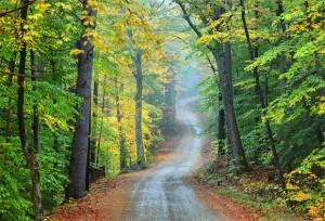 50 Beautiful Photographs of Rural and Urban Roads