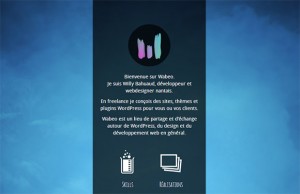 40 Beautiful Examples of Monochromatic Website Design