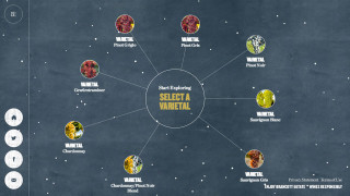 Sleek and Delicate Website Design with Circular Navigation