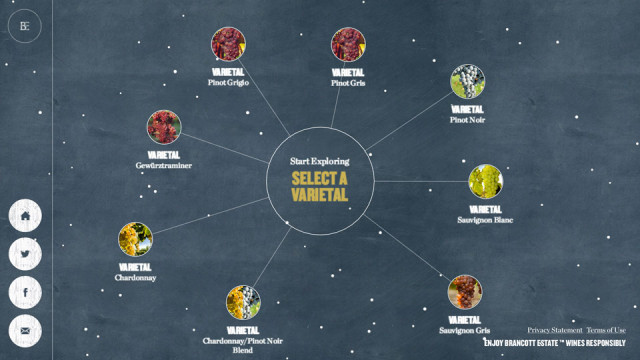 Sleek and Delicate Website Design with Circular Navigation