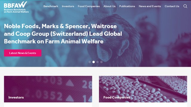 Intensive Coloring and Saturated Gradients are a Fresh Trend