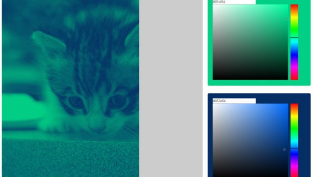 How to Use Duotone Technique with Helpful Resources, Tools and Tutorials