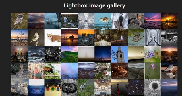 15+ Great jQuery Images Gallery Plugins To Showcase Your Work ...