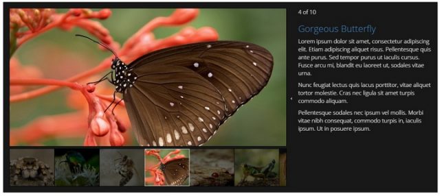 15+ Great jQuery Images Gallery Plugins To Showcase Your Work ...