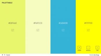 20 Best Color Palette Generators and Galleries for Designers (2019)