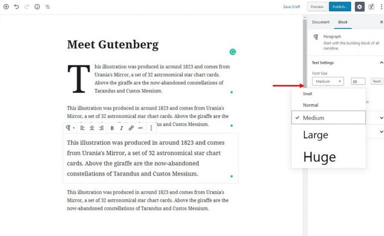 Meet Gutenberg: 6 Best Features Of The New WordPress Block Editor ...